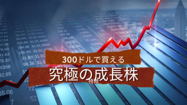 今すぐ300ドルで買える究極の成長株｜HIRO｜初心者でも稼げる株式投資術｜coconalaブログ